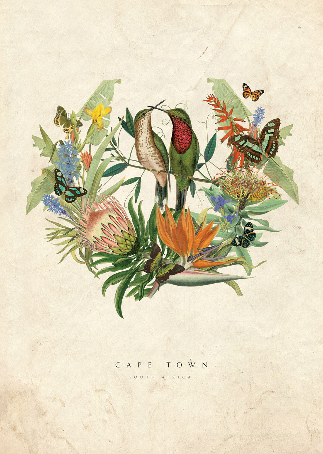 Cape Crest – soilprints